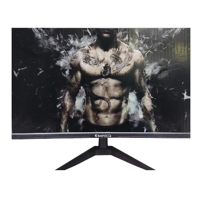 Esonic 22ELMW 22 Inch Wide Screen LED HD Monitor - Sayak IT